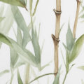 Bamboo Trees Print Wallpaper | Zazzle