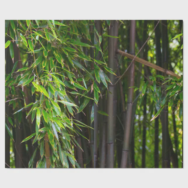 Bamboo Wrapping Paper | Zazzle