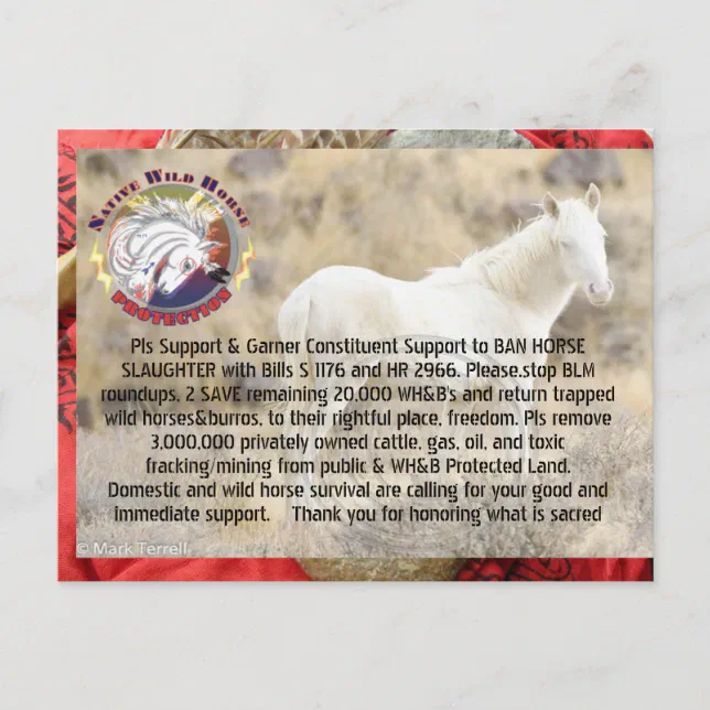 Ban Horse Slaughter and Save Wild Horses/ Burros Postcard | Zazzle