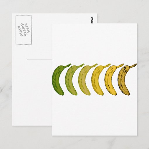 Banana Evolution Postcard | Zazzle