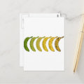 Banana Evolution Postcard | Zazzle