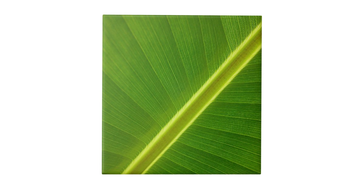 Banana Leaf Tile | Zazzle