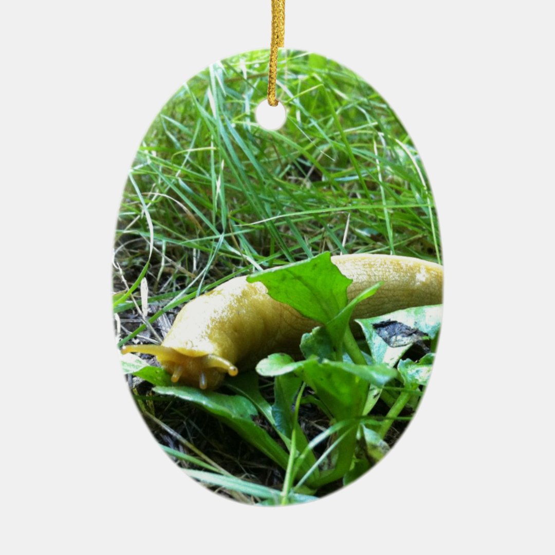 Banana Slug Ceramic Ornament | Zazzle