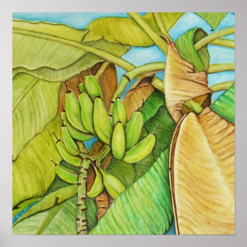 banana tree reproduction from painting poster | Zazzle