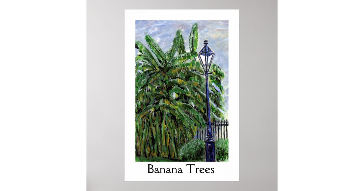 Banana Trees Poster | Zazzle