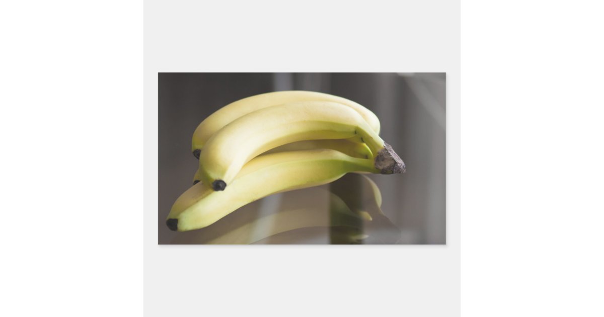 Bananas Rectangular Sticker | Zazzle