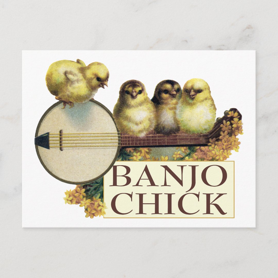 Banjo Chick Postcard | Zazzle