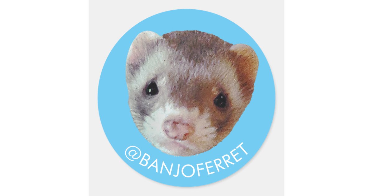 Banjo Face Sticker | Zazzle
