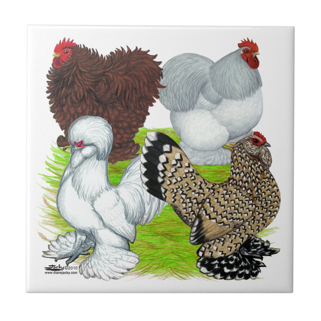 Bantams Feather Legged Tile | Zazzle