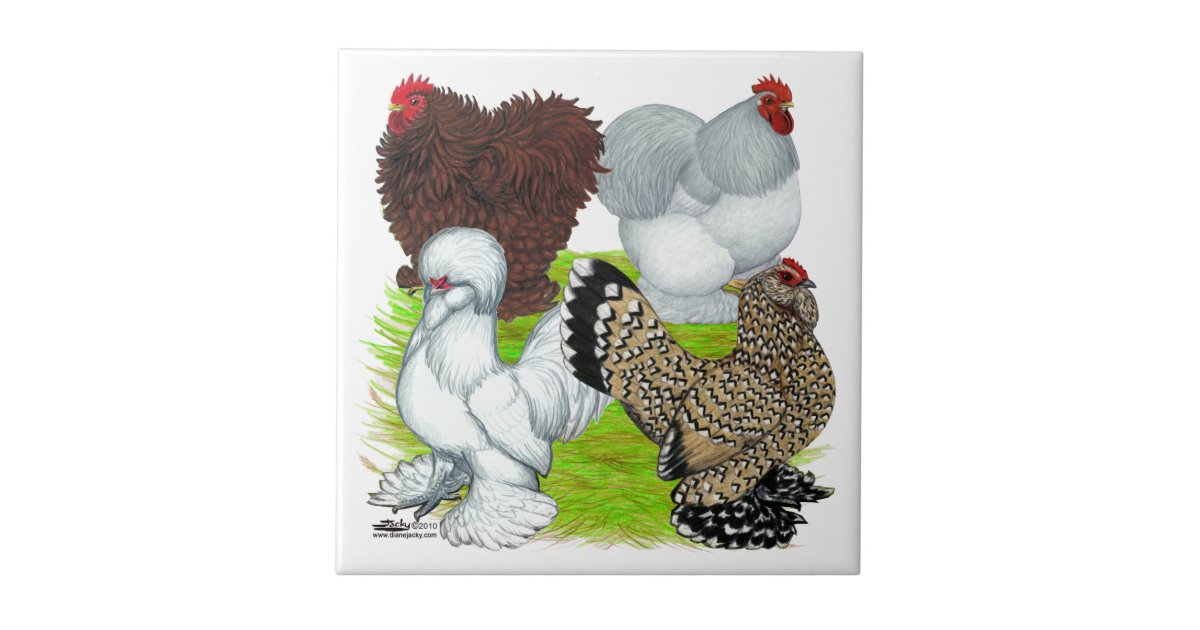 Bantams Feather Legged Tile | Zazzle