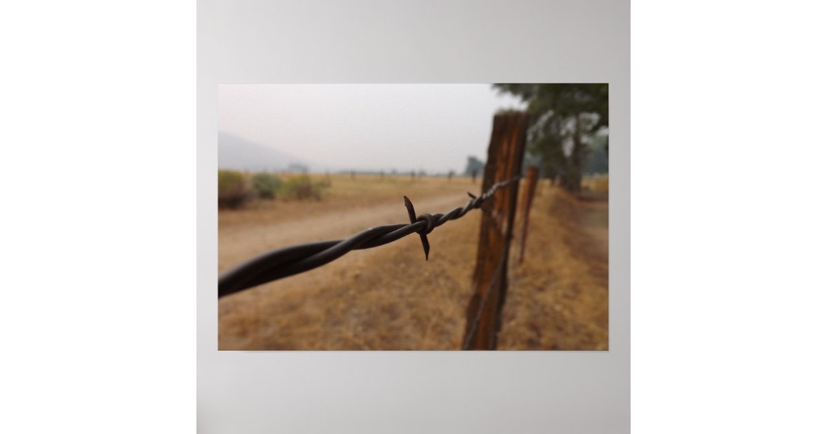 Barb Wire Fence Poster | Zazzle