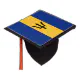 Barbados Flag Graduation Cap Topper | Zazzle