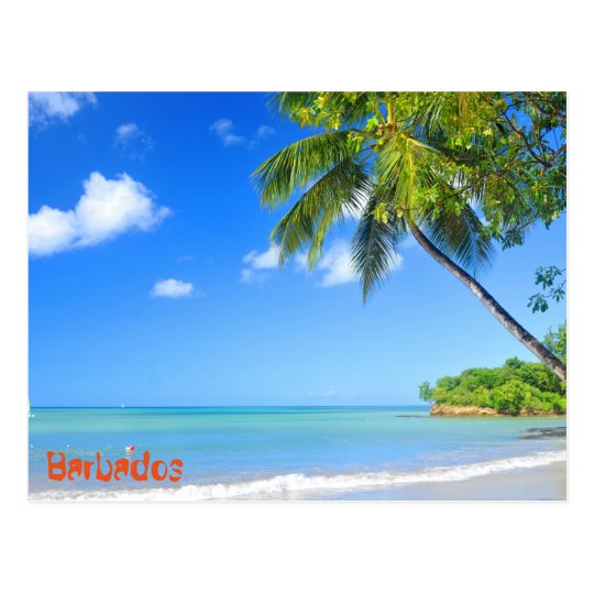 Barbados Postcard | Zazzle.com