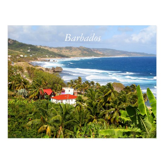 Barbados Postcard, Ocean, tropical trees Postcard | Zazzle.com