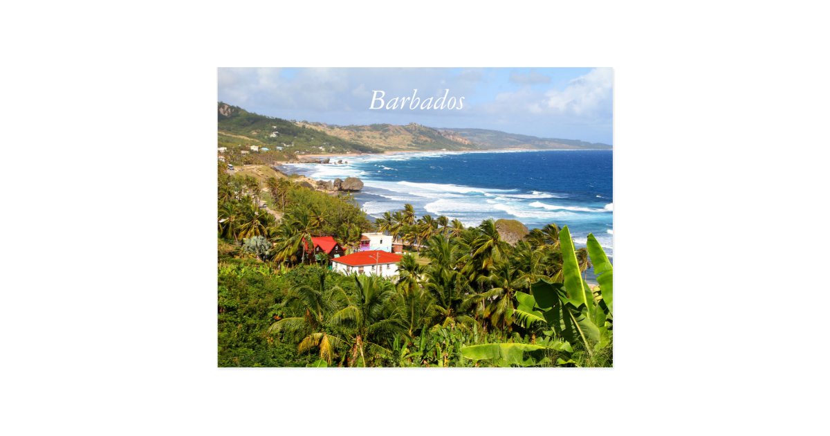 Barbados Postcard, Ocean, tropical trees Postcard | Zazzle.com