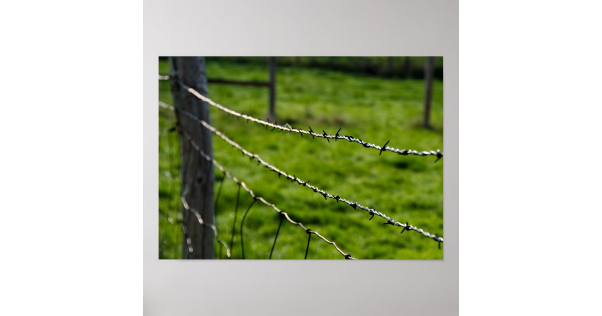 Barbed Wire Fence Poster | Zazzle