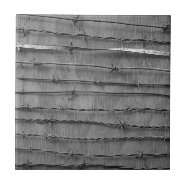 barbed wire tile | Zazzle
