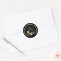 Barely Functional Crow: Intelligent, Unstable Classic Round Sticker ...