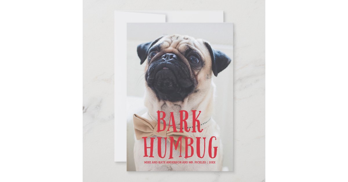 Bark Humbug Cute Puppy Dog | Holiday Photo | Zazzle