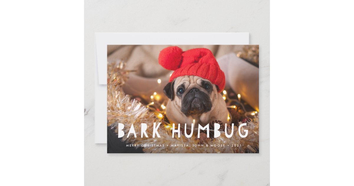 Bark Humbug | Pet Photo Holiday Card | Zazzle