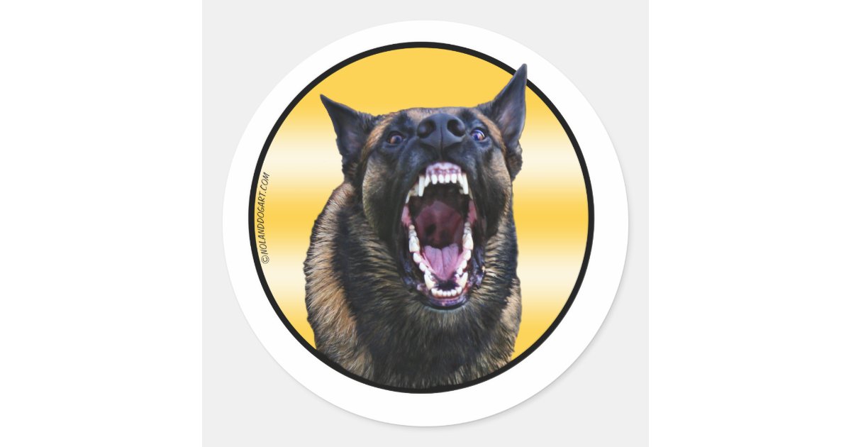 Barking Belgian Malinois "Maligator" Classic Round Sticker | Zazzle