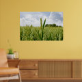barley crop poster | Zazzle