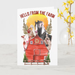 Barn Animals Hello From the Farm Greeting Card | Zazzle