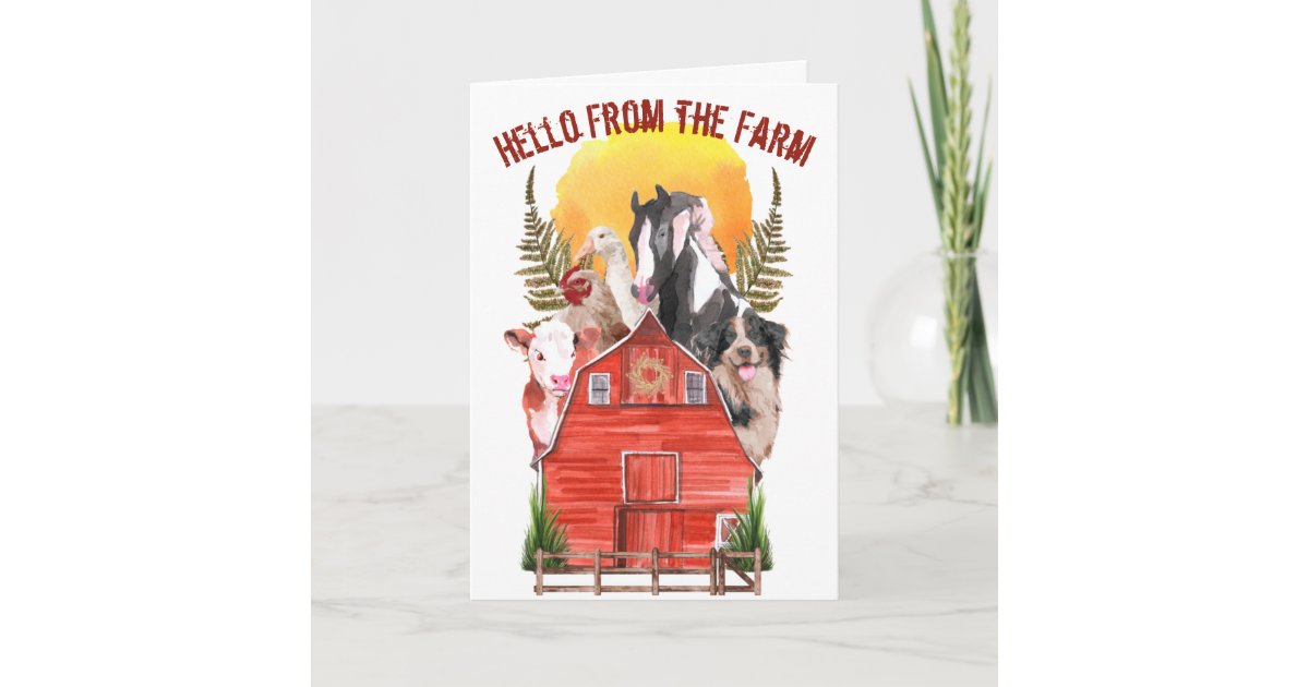 Barn Animals Hello From the Farm Greeting Card | Zazzle