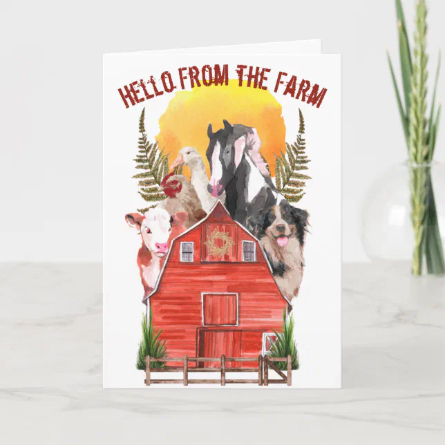 Barn Animals Hello From the Farm Greeting Card | Zazzle