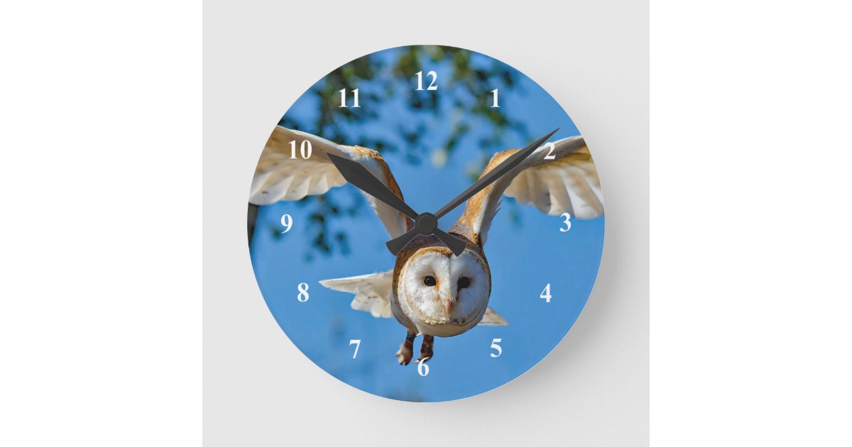 Barn Owl Flight Photo Round Clock | Zazzle