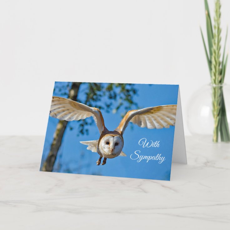 Barn Owl Flight Photo Sympathy Card | Zazzle