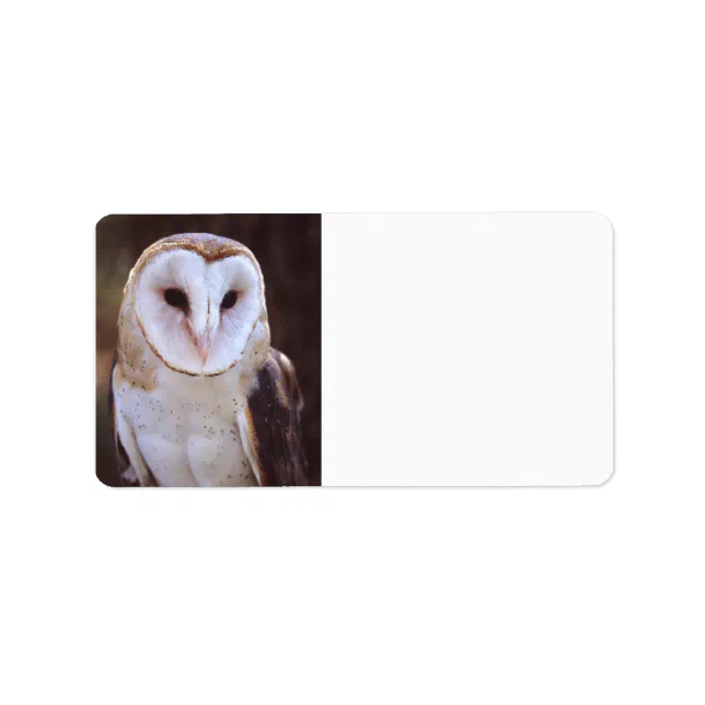 barn owl label | Zazzle