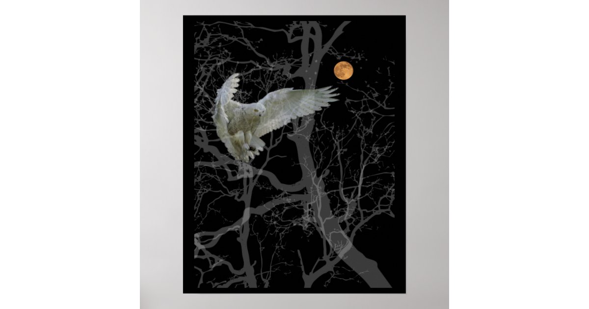 Barn Owl Poster, Texas Screech Owl, Wiccan Symbol Poster | Zazzle