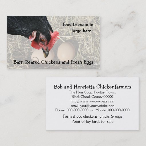 Barn reared chicken eggs business card | Zazzle