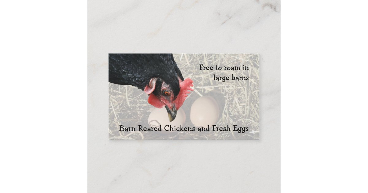 Barn reared chicken eggs business card | Zazzle
