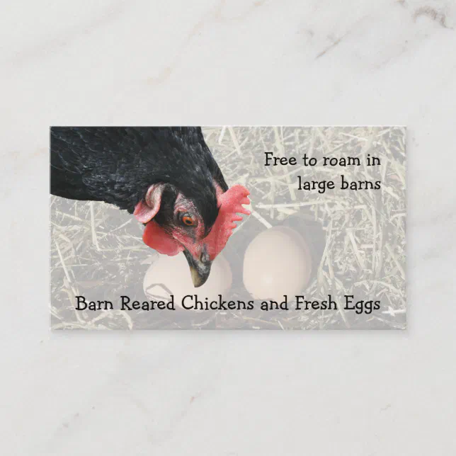 Barn reared chicken eggs business card | Zazzle