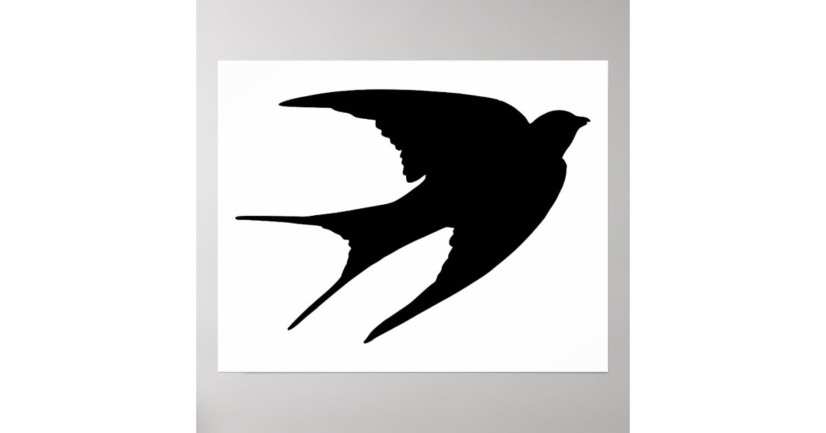 Barn Swallow Poster | Zazzle