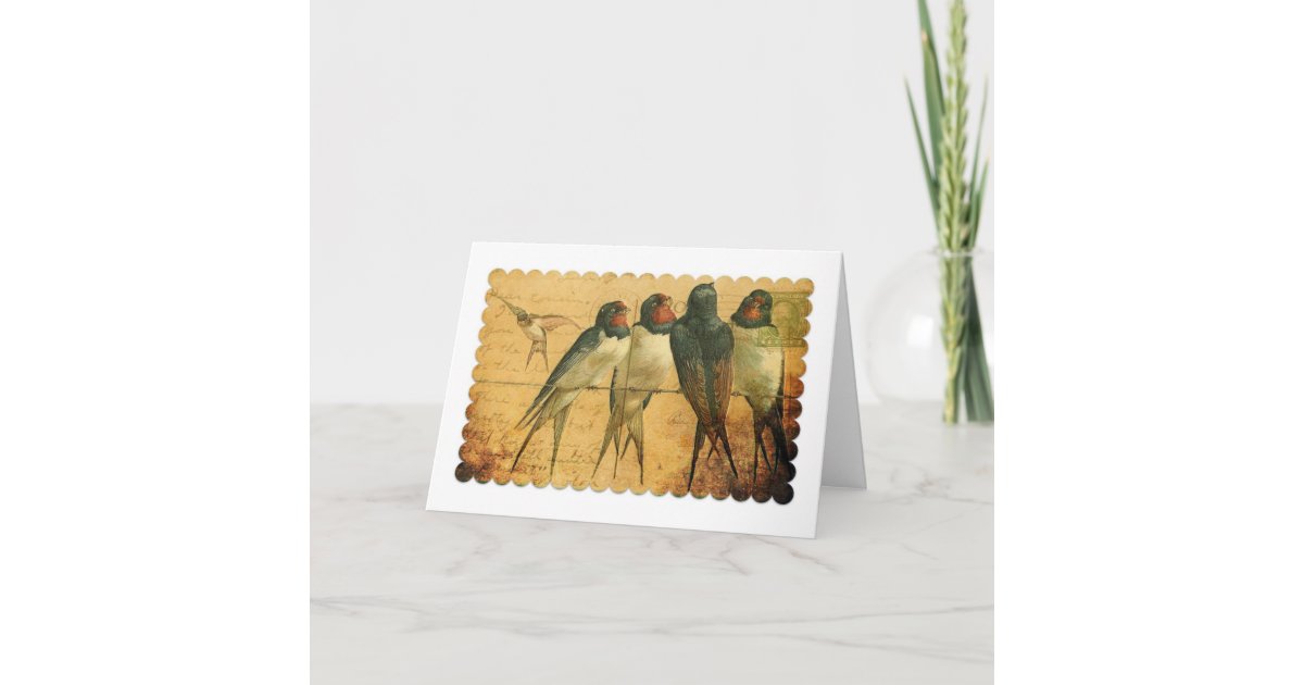 Barn Swallows, Birthday Card | Zazzle