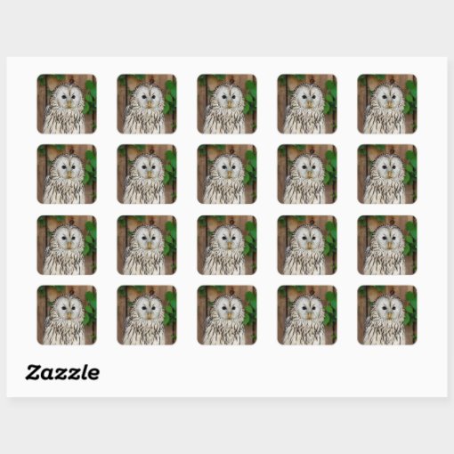 Barred Owl Square Sticker | Zazzle