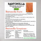 Bartonella Symptoms Educational Poster | Zazzle.com