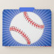 Baseball Design File Folders Set | Zazzle