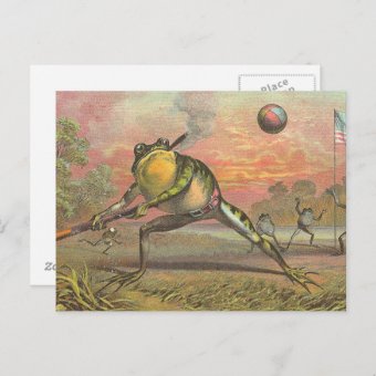 Baseball Frog Postcard | Zazzle