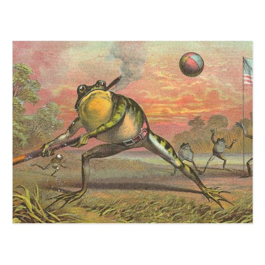 Baseball Frog Postcard | Zazzle.com