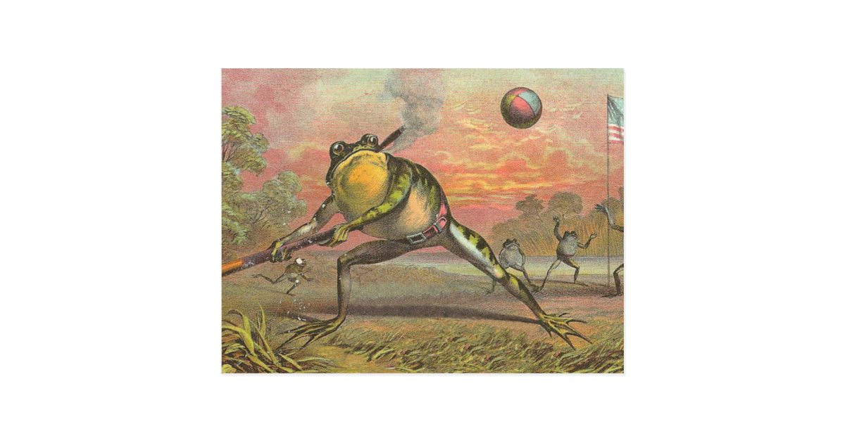 Baseball Frog Postcard | Zazzle.com