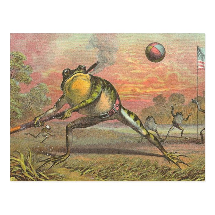 Baseball Frog Postcard | Zazzle.com