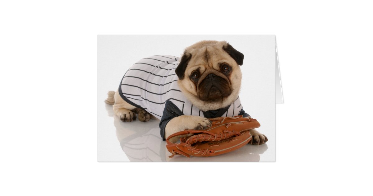 Baseball Pug Card | Zazzle