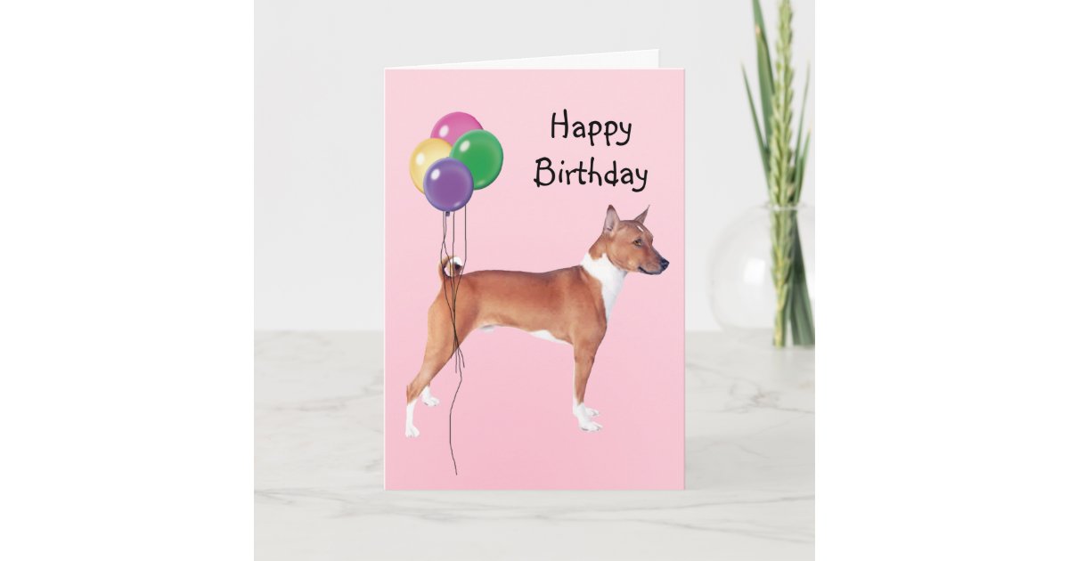 Basenji, Birthday Balloons Card | Zazzle