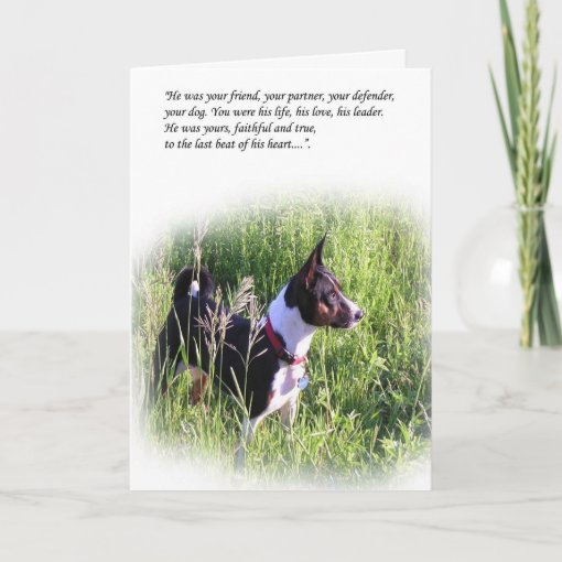 Basenji Rainbow Bridge Card | Zazzle
