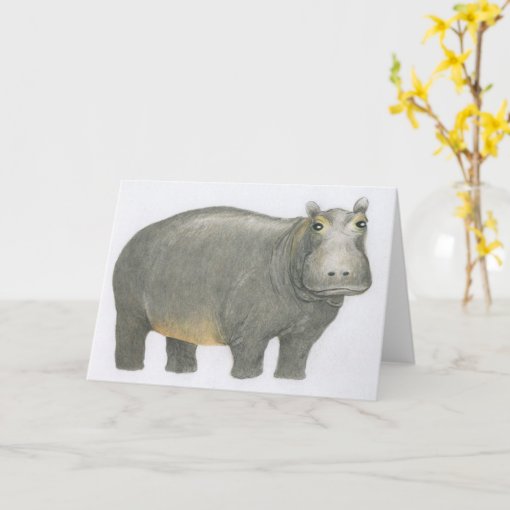 Basic Hippo Card | Zazzle