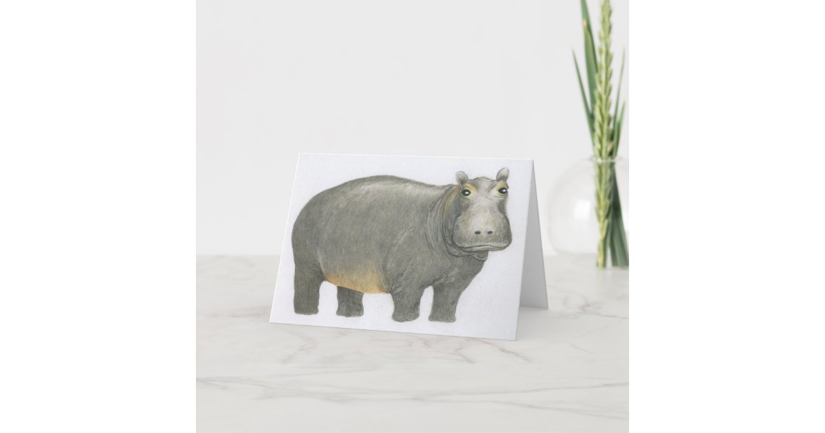 Basic Hippo Card | Zazzle